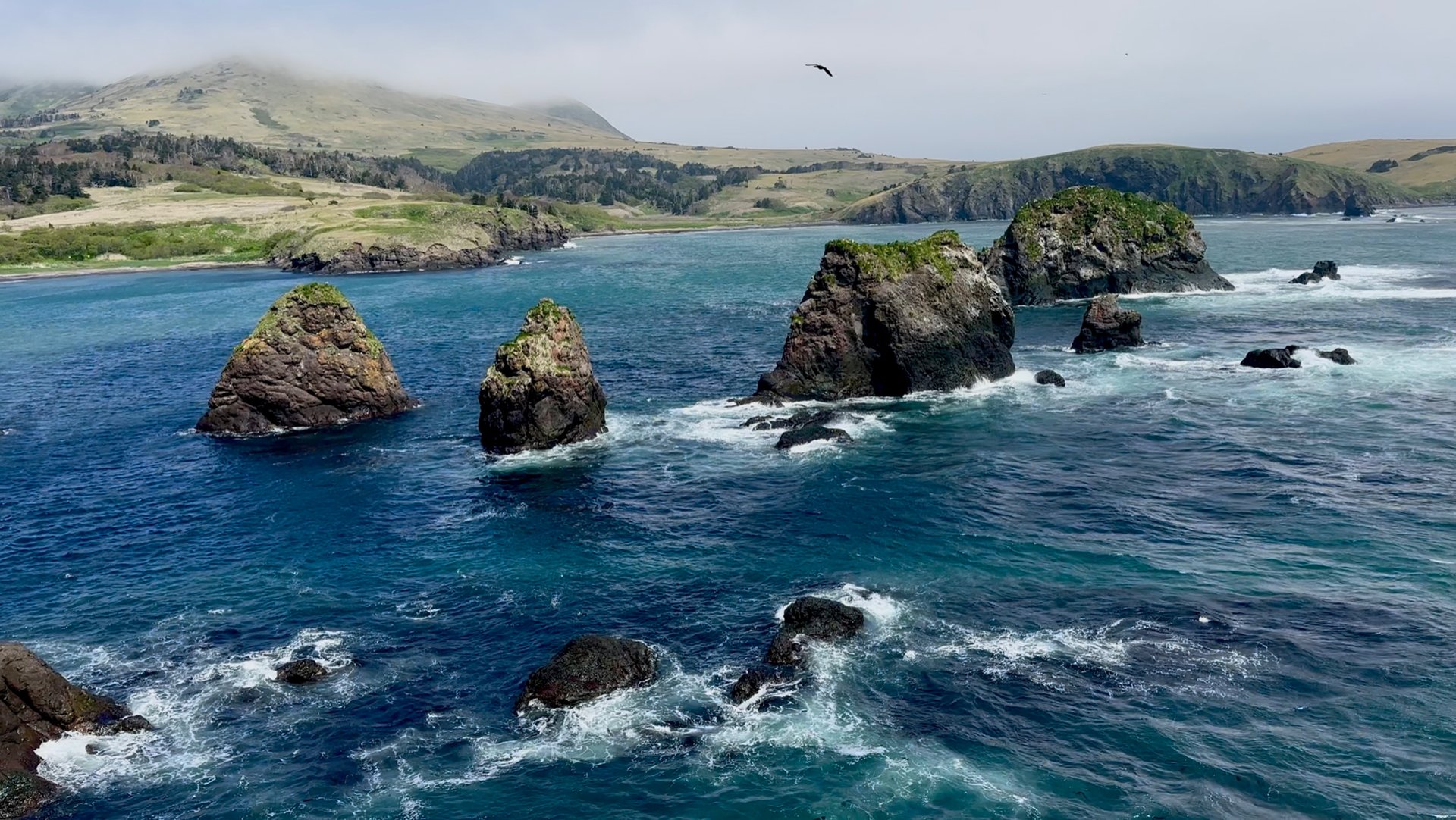 Бухта Солдатская (Маячная) ветрище День 8. Остров Шикотан Курильские острова 02.06.25
