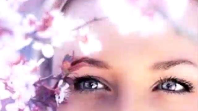 Один раз в год сады цветут. Песни Анны Герман