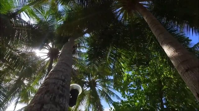 Джованни Марради.  Matteos Song.  Giovanni Marradi