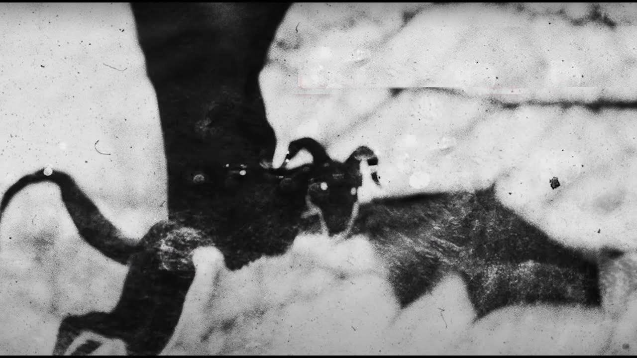 История Дьявола из Джерси