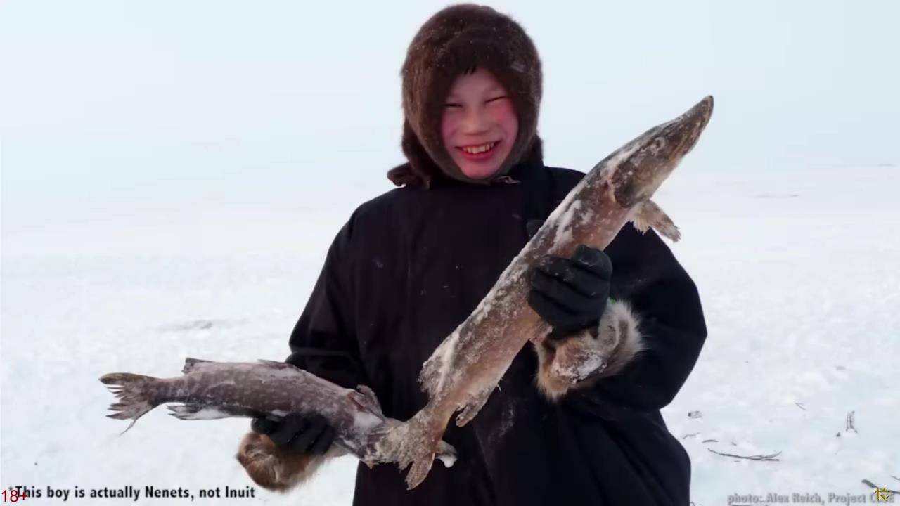 Удивительная история замороженных продуктов