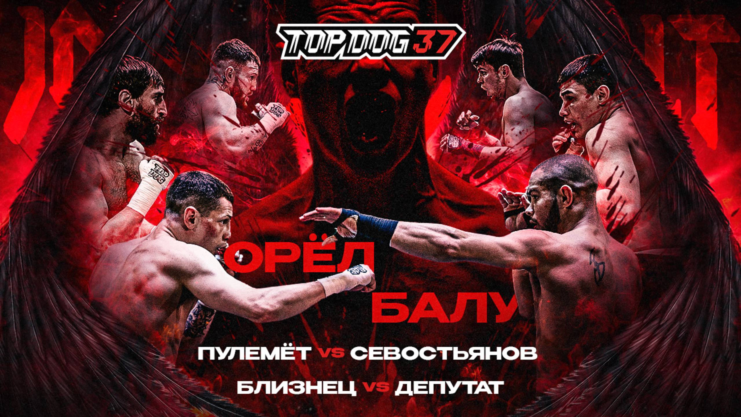 Орёл VS Балу, Пулемёт VS Севостьянов, Близнец VS Депутат | TOP DOG 37, Москва