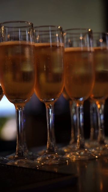 Рыбный гастроужин в панорамном ресторане BRUT8