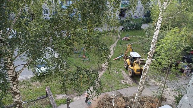 Уборка веток во дворе.