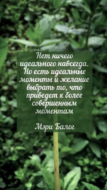 Цитаты о важном (30) #shorts