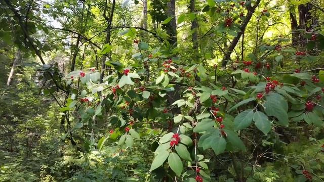 Жизнь за кадром. Сплав по реке Ай с 21 по 23 июля. День первый. 😉