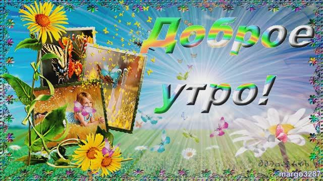 Доброе летнее утро!