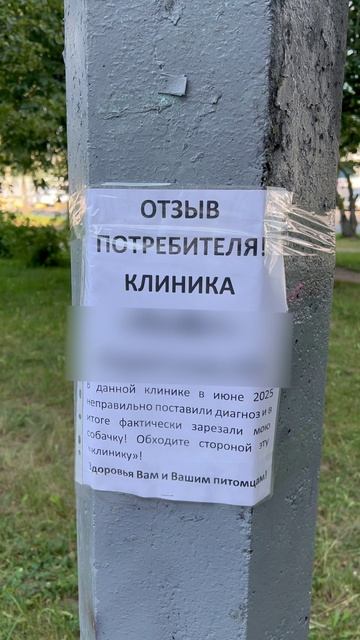 Когда нет соц. сетей, а отзыв оставить нужно..