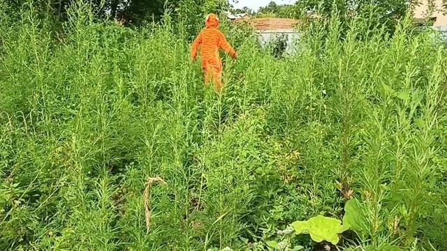 Женя Ворожбит