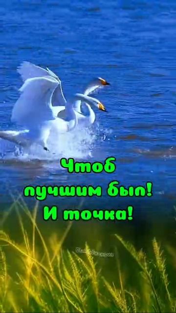 Хорошего денёчка