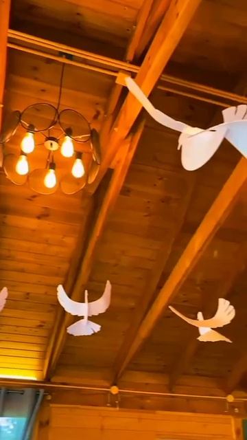 Площадки для мероприятий. Парк "Юрибей". Тюмень.