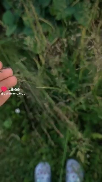 Для лайка - 2075