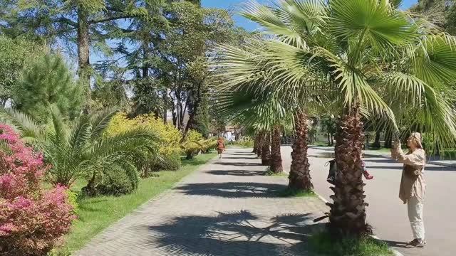 Абхазия/ Сухум /Гуляем по городу и любуемся