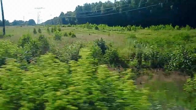 Поездка из Раифского богородицкого мужского монастыря в Казань (автобусный тур в Казань #33)