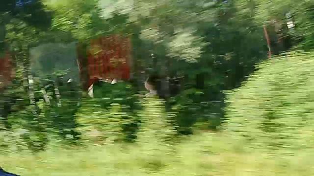 Республика Башкортостан вид из окна автобуса (поездка в автобусе из Казани в Магнитогорск)