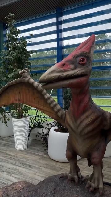 Дино-парк. Юрибей. Тюмень.