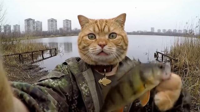S.T.A.L.K.E.R. который ма заслужили