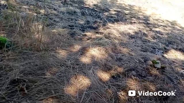 Путешествуем на машине🚗. Едем на🌊 море в Туапсе. День четвёртый.