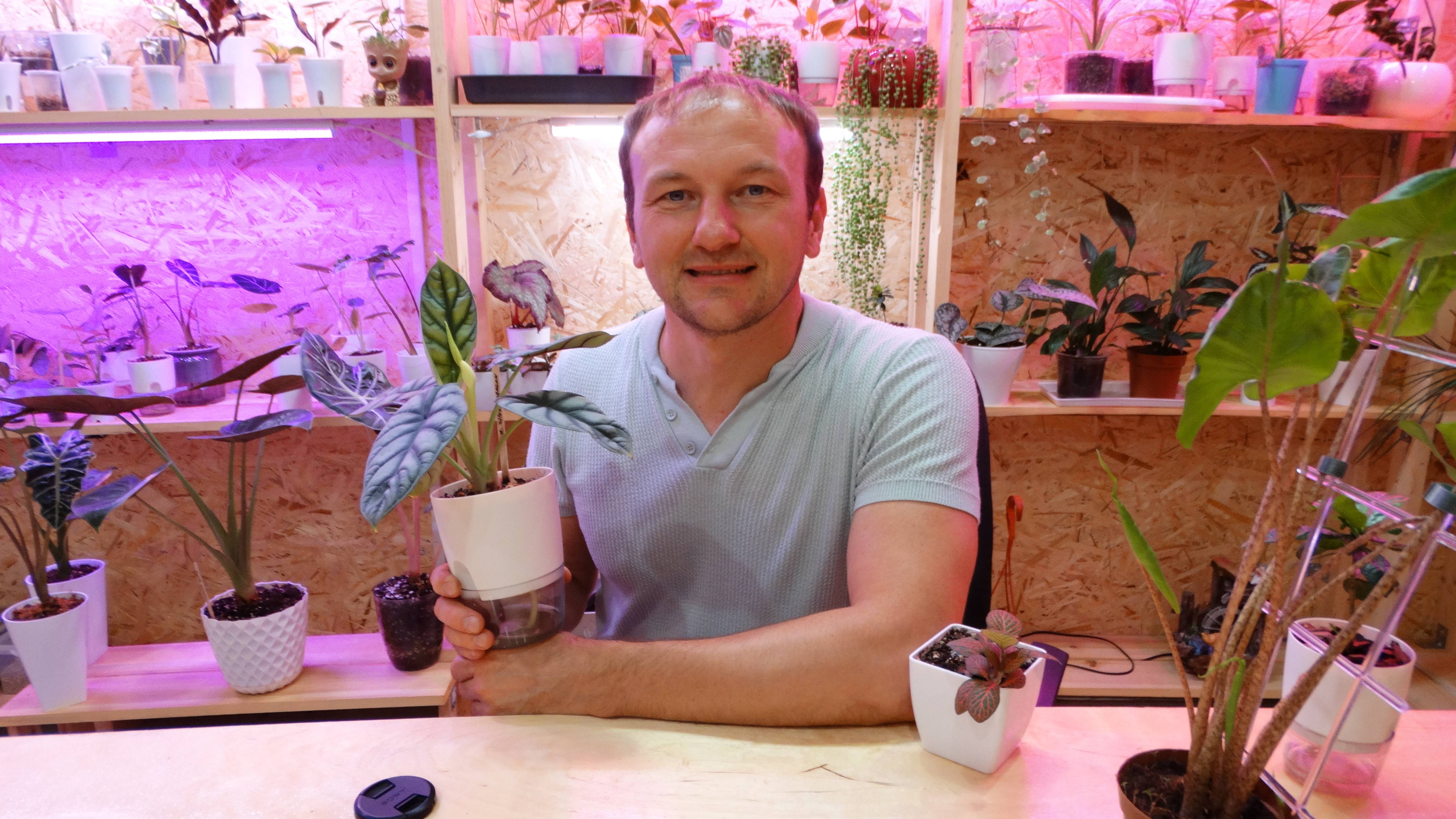 Цветочные новости июль