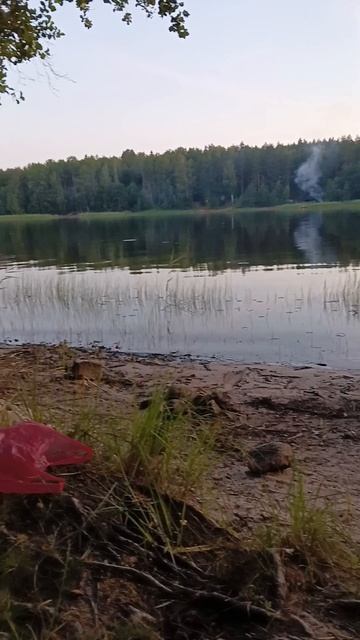 Релакс у реки 🐱