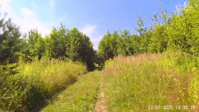 В сады Дружба в Йошкар-Ола июль 2025