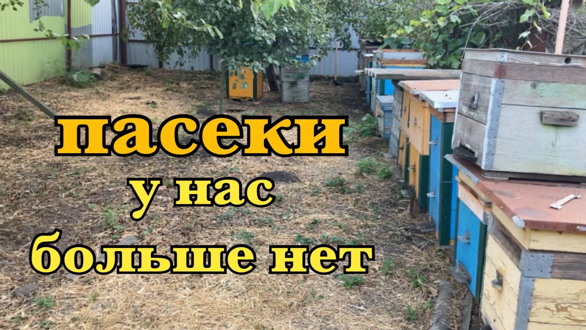 Адыгея/ Летний день на хуторе/Пришлось сделать выбор/ Лыски на свободе/ 24.07.2025/
