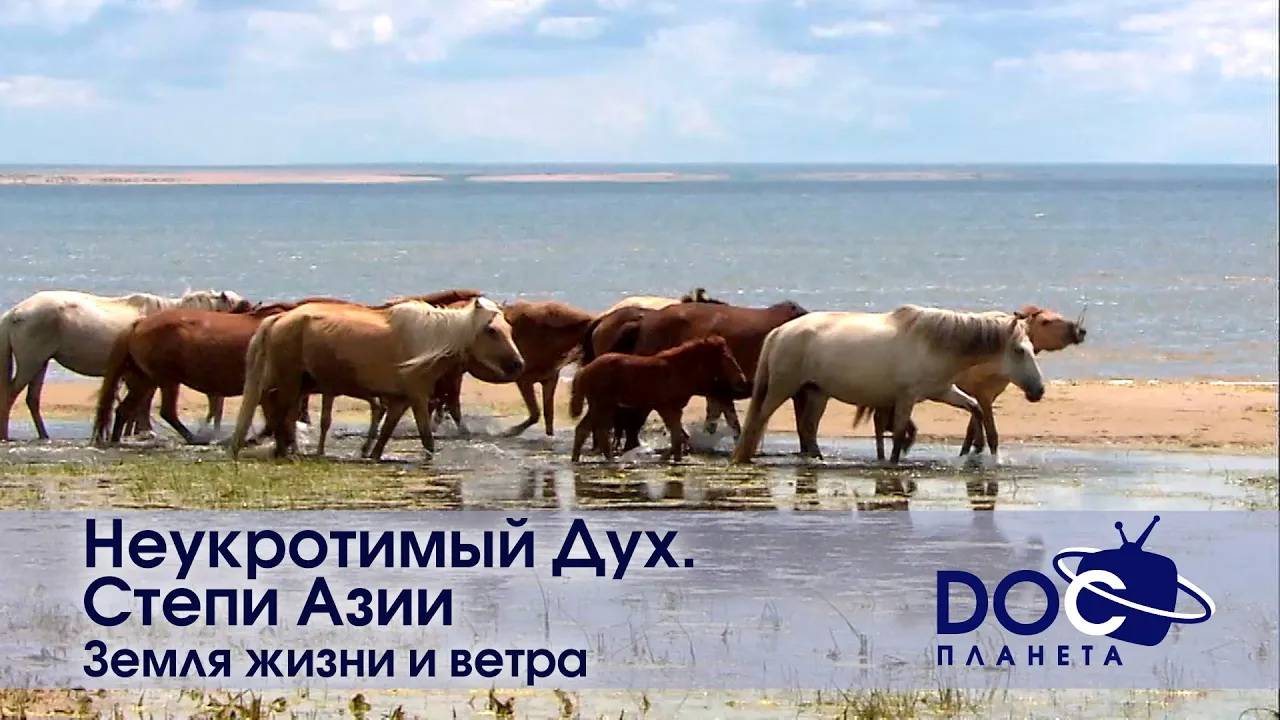 Неукротимый Дух. Степи Азии - Фильм 1.Земля жизни и ветра - Документальный фильм