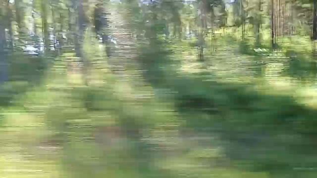 Республика Башкортостан вид из окна автобуса 3 (поездка в автобусе из Казани в Магнитогорск)