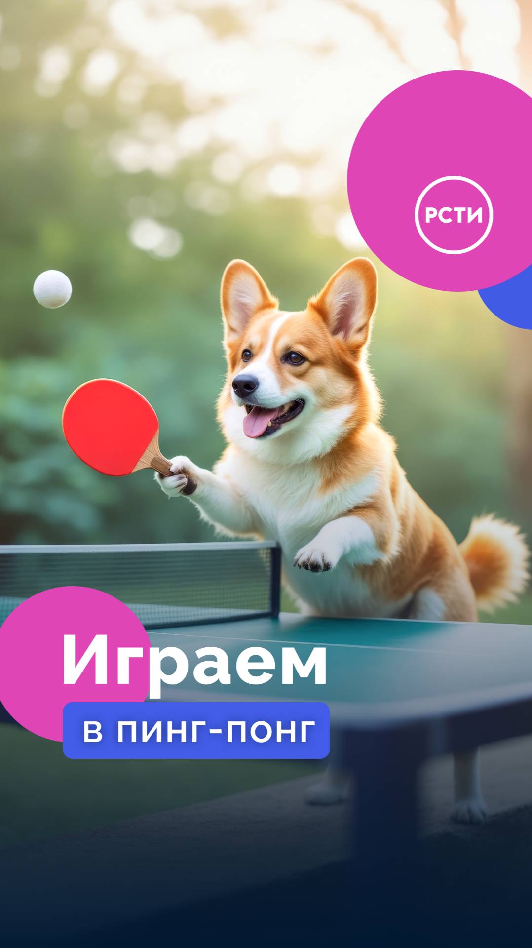 Эпизод 19: Настольный теннис