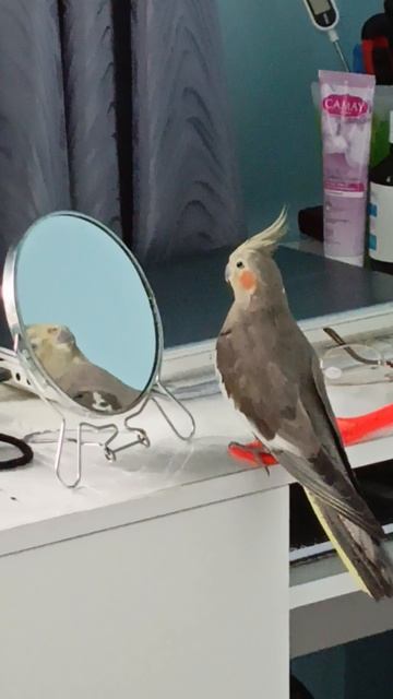 Макияж пришла делать😍😂