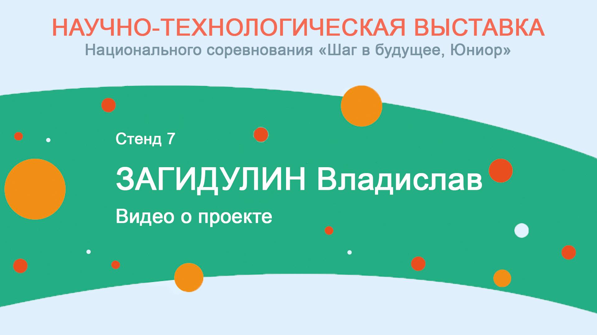 Загидулин Владислав. Видео о проекте