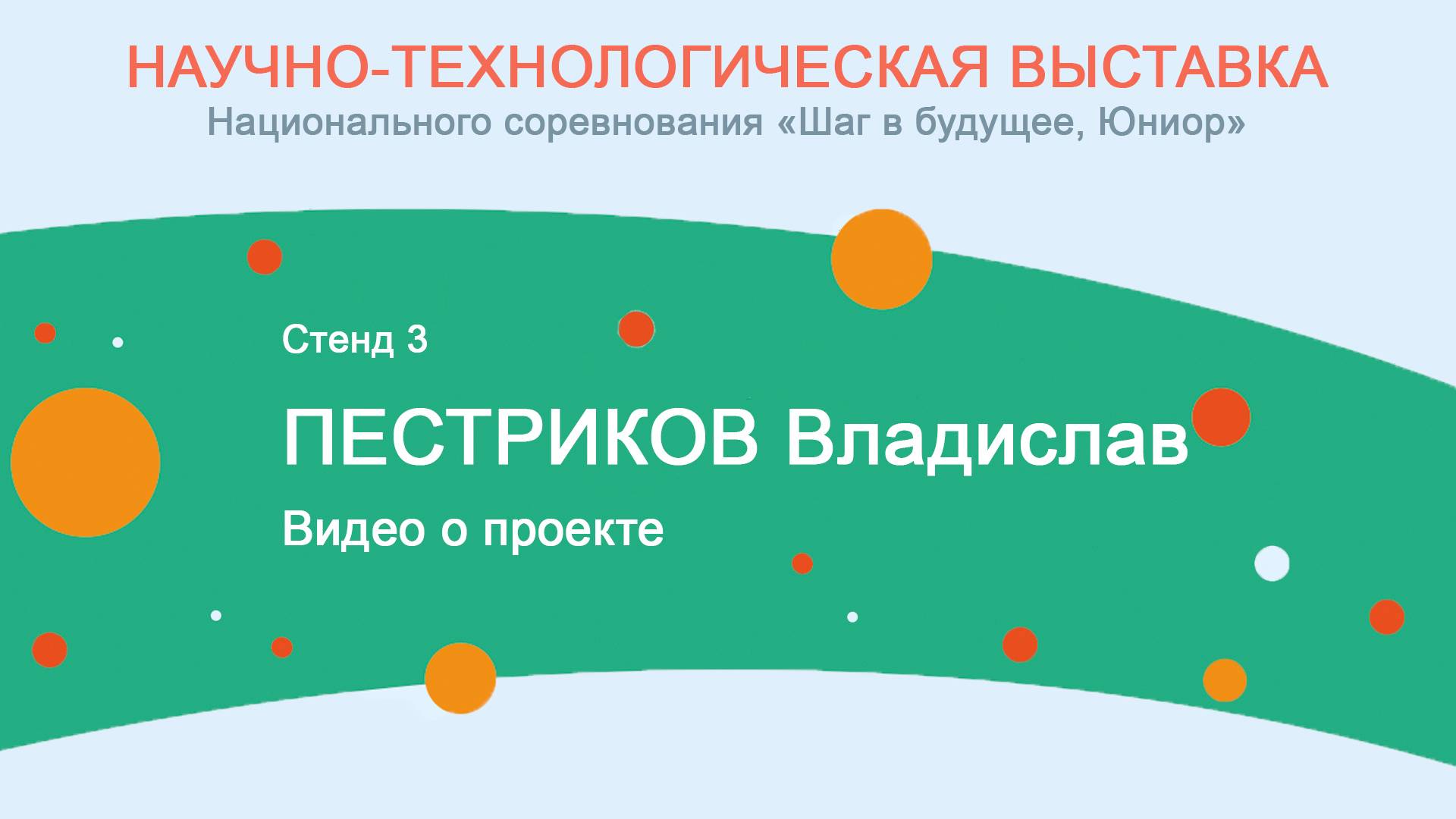 Пестриков Владислав. Видео о проекте