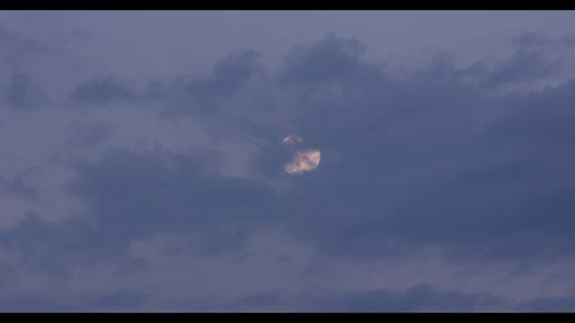 Музыка и поэзия. Владимир Киршон  "Я спросил у ясеня"