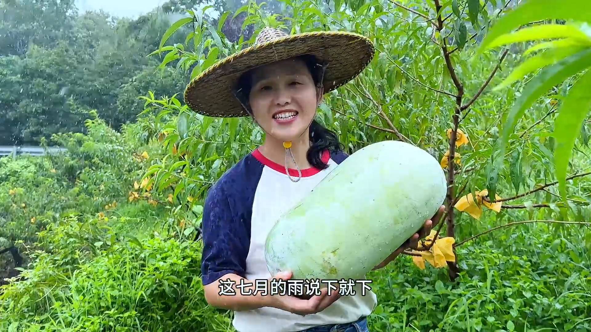 Сяо Ли - Одна зимняя дыня просто приготовь три блюда и вся семья будет есть с большим аппетитом