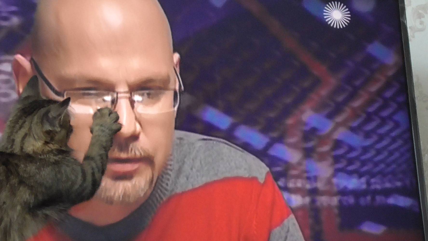 Маша кошка полюбила дядю.