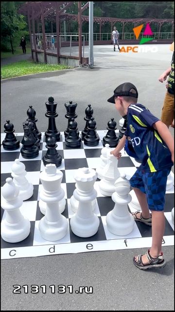 Большие шахматы, гигантские, напольные в аренду Новосибирск