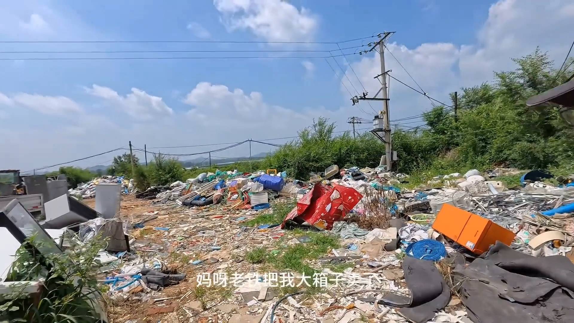 Оказывается тигриный стул выглядит так