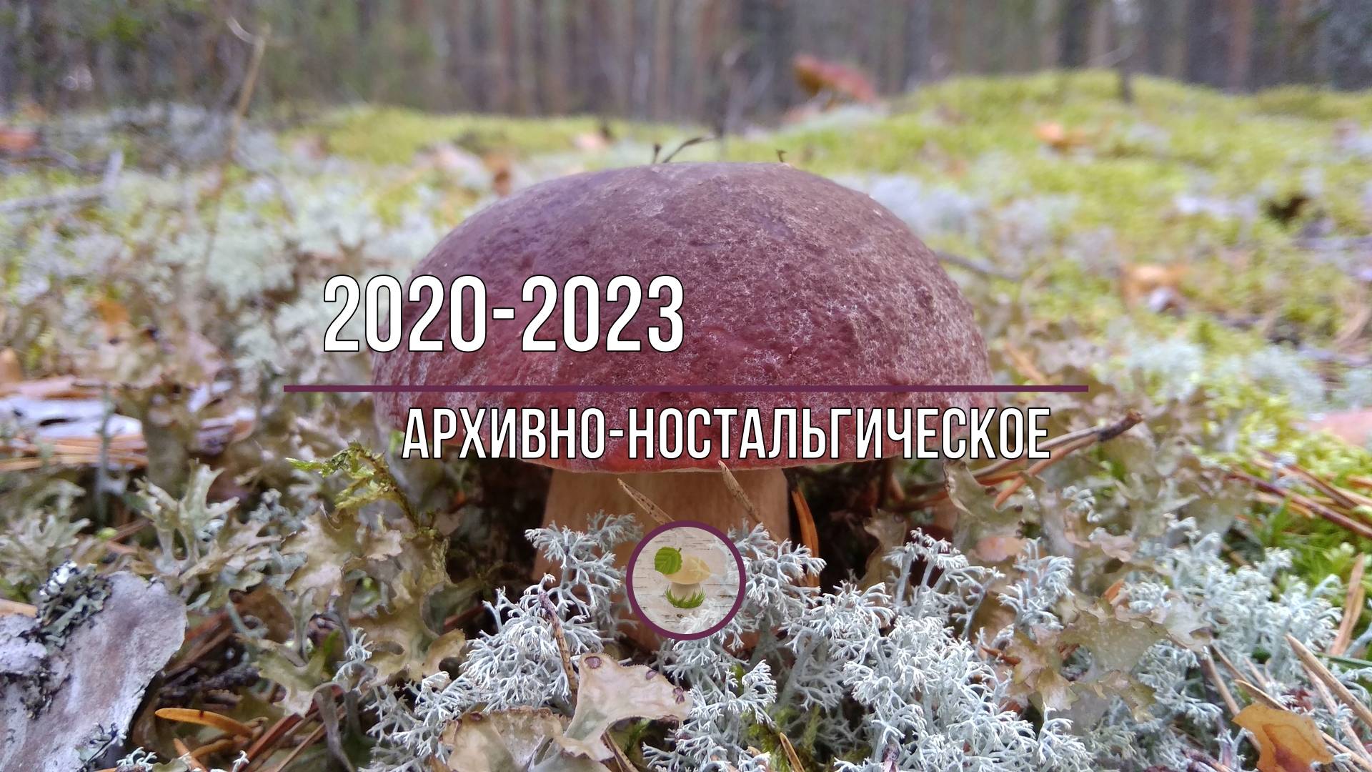 Архивно-ностальгическое видео тихой охоты за 2020-2023.