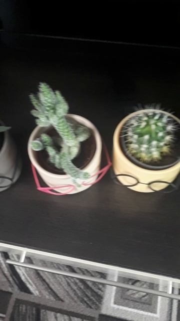 ИНТЕРЕСНЫЕ ГОРШОЧКИ ДЛЯ ДОМАШНИХ ЦВЕТОВ