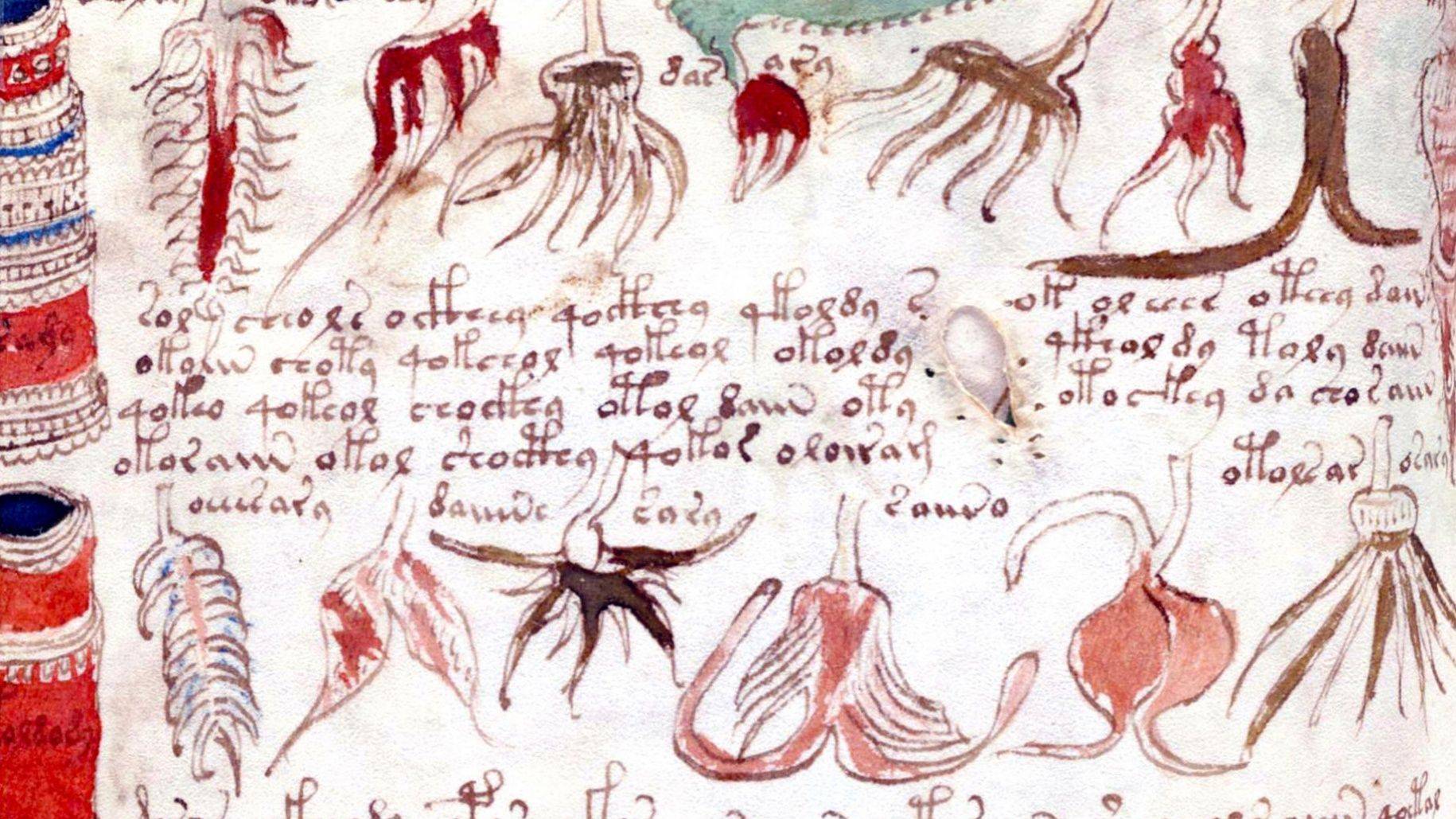 Манускрипт Войнича. Подделка или подлинник?