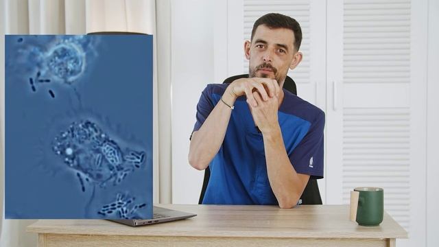 Интересные факты о Кишечнике , которые вы точно не знали от доктора Руслан Масгутов.