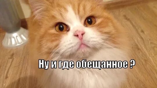 Я тебе обещаю!👍😁😢💔