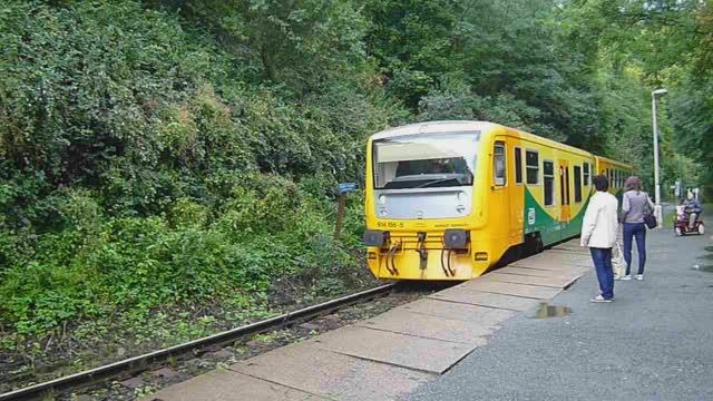 Прибытие нескольких разных поездов в Чехии.