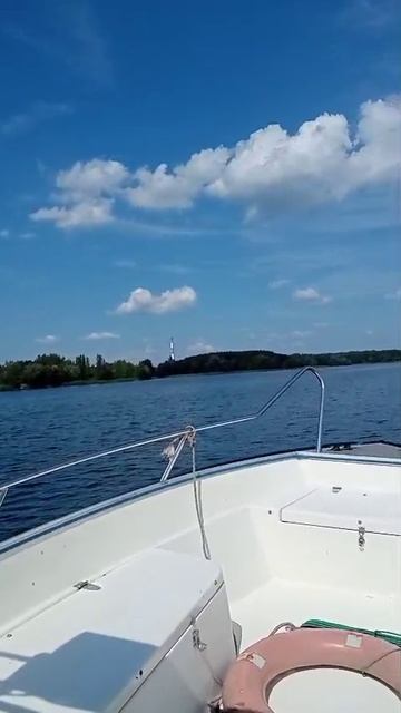 Черемшан 07-2025