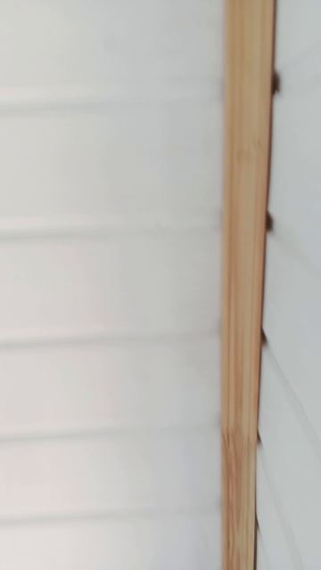 времянка 28.06,24