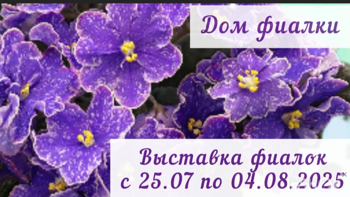 ФИАЛКИ. Выставка "ФИАЛКОВАЯ РАДУГА - 2025 !" с 25 июля по 04 августа 2025г.в Доме ФИАЛКИ (Москва)