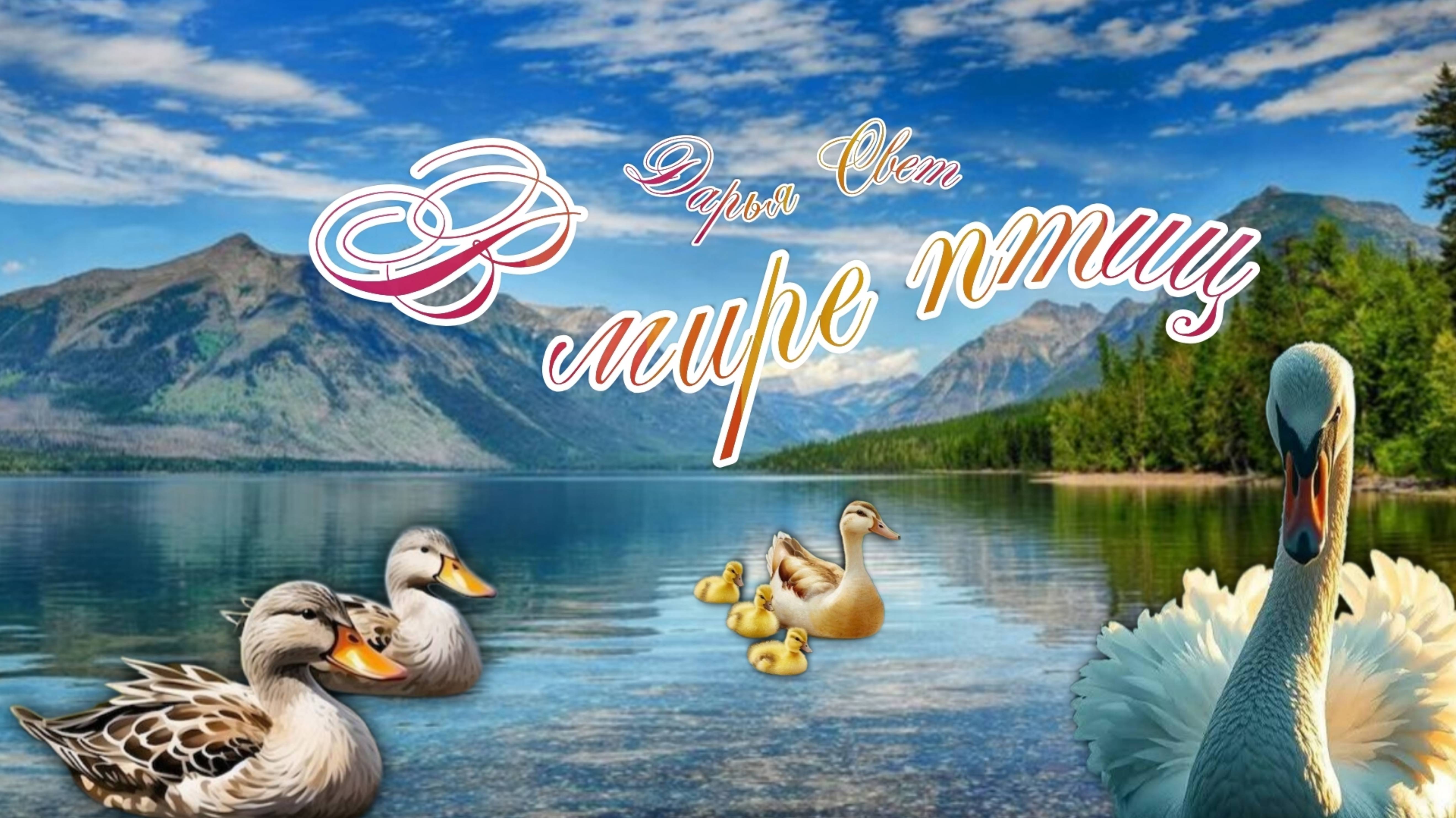 Белолобый гусь Гоша. Одинокий пернатый красавчик в парке Царицыно. Июль 2025