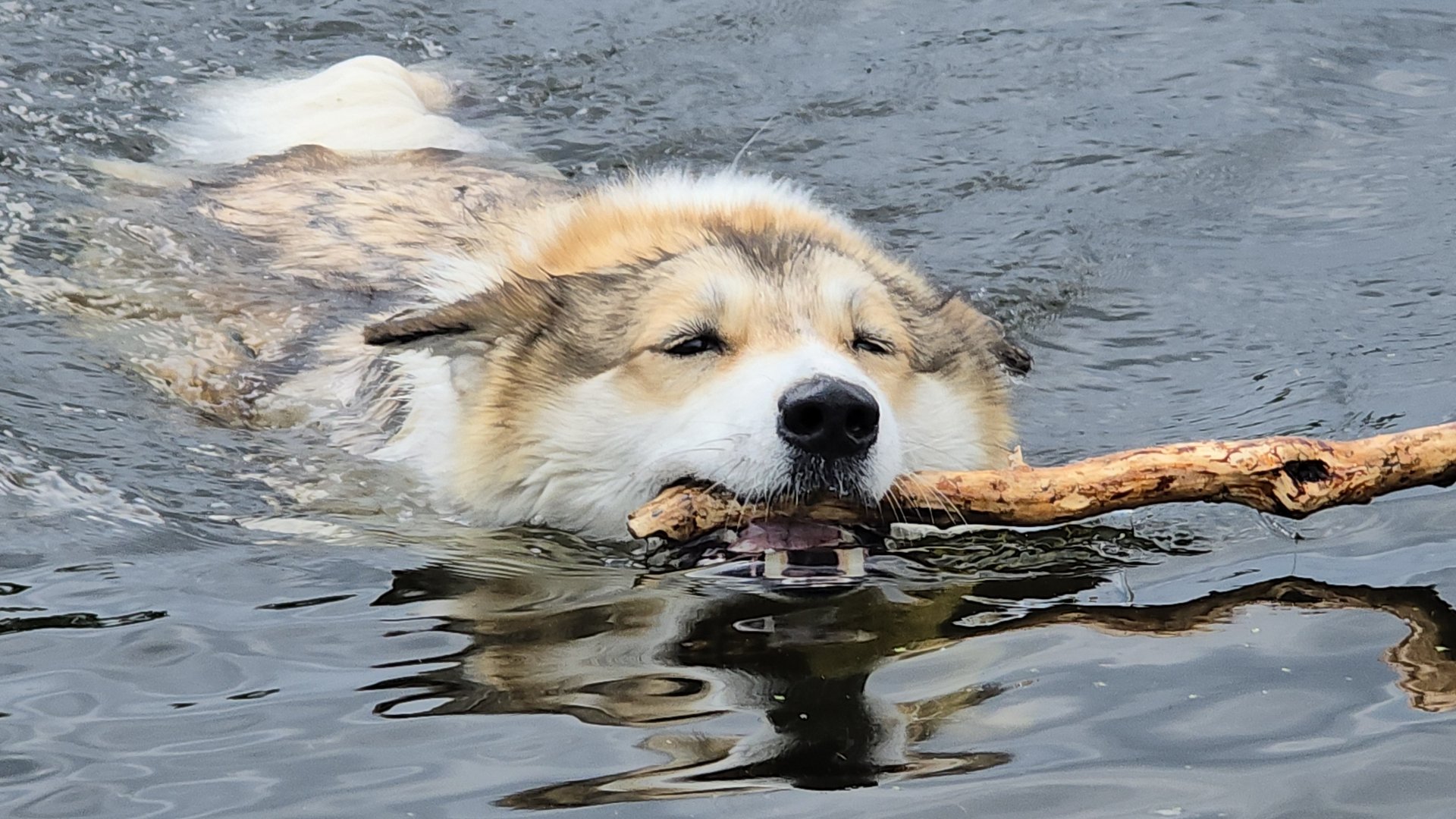 На грани побега