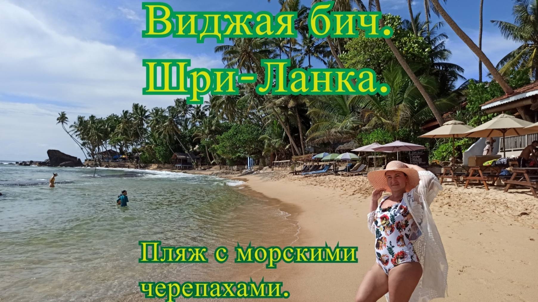 Морские черепахи на Шри -Ланке. Виджая Бич Wijaya Beach .