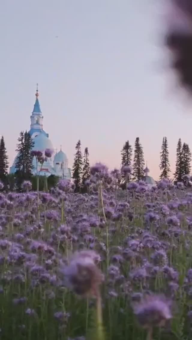 Виды Валаама